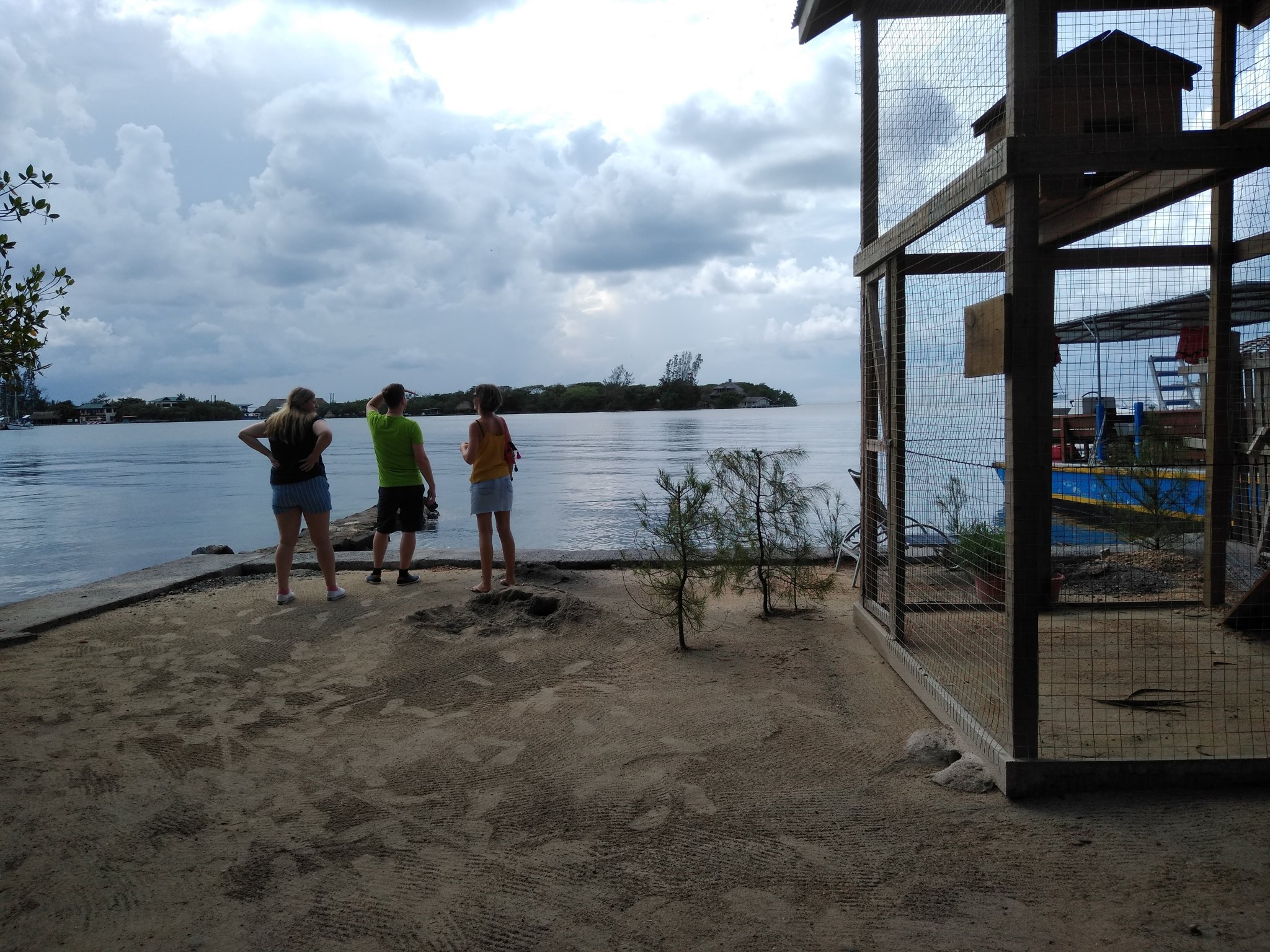 Daniel Johnson’s Monkey and Sloth Hangout Review with pictures – The ...