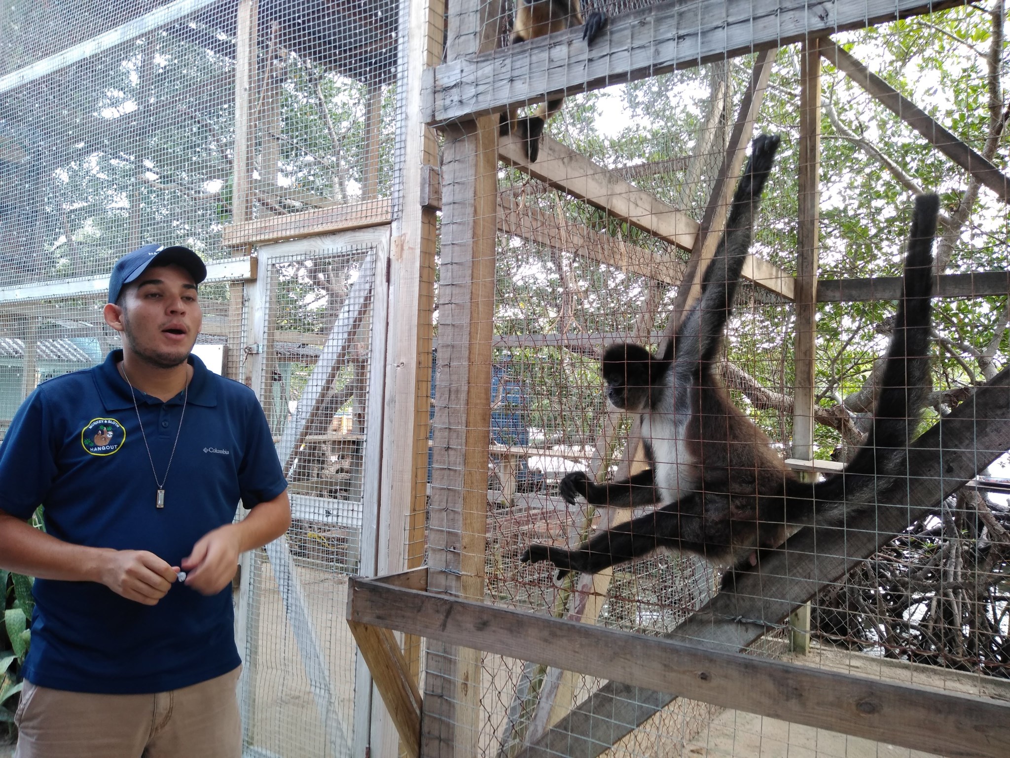 Daniel Johnson’s Monkey and Sloth Hangout Review with pictures – The ...