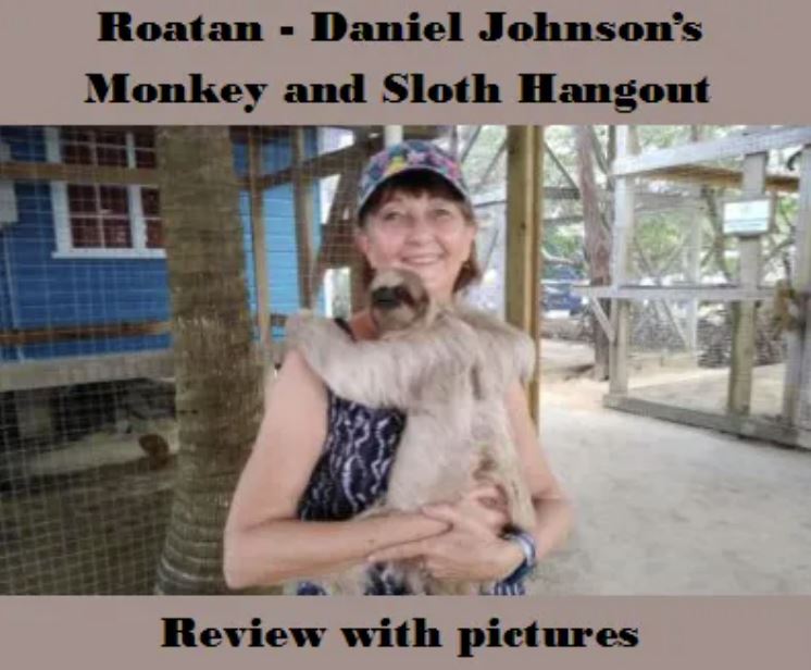 Daniel Johnson’s Monkey and Sloth Hangout Review with pictures – The ...