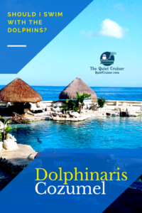 Dolphinaris Cozumel Review….should I swim with a Dolphin? – The Quiet ...